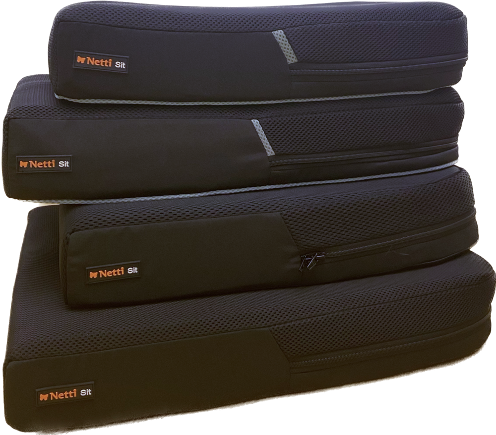 Netti for young users - My-netti.com