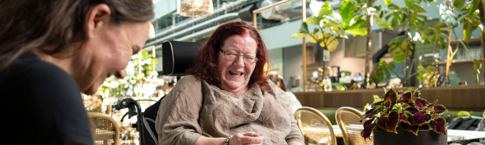 Quick Guide Netti V - My-netti.com