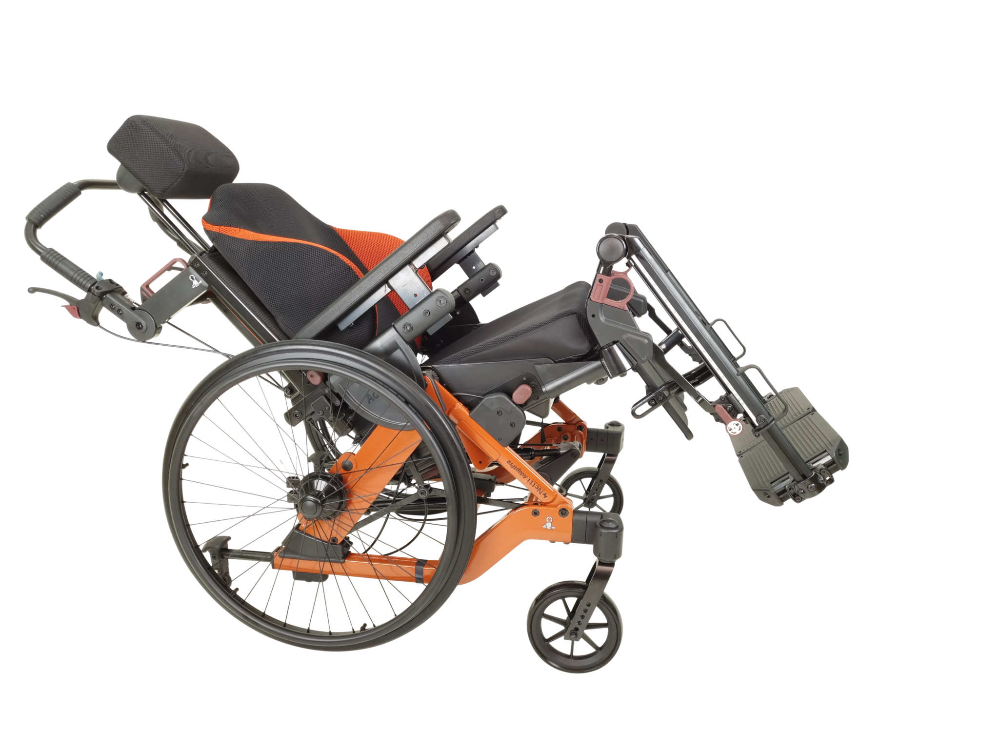 Netti AdaptPro - My-netti.com